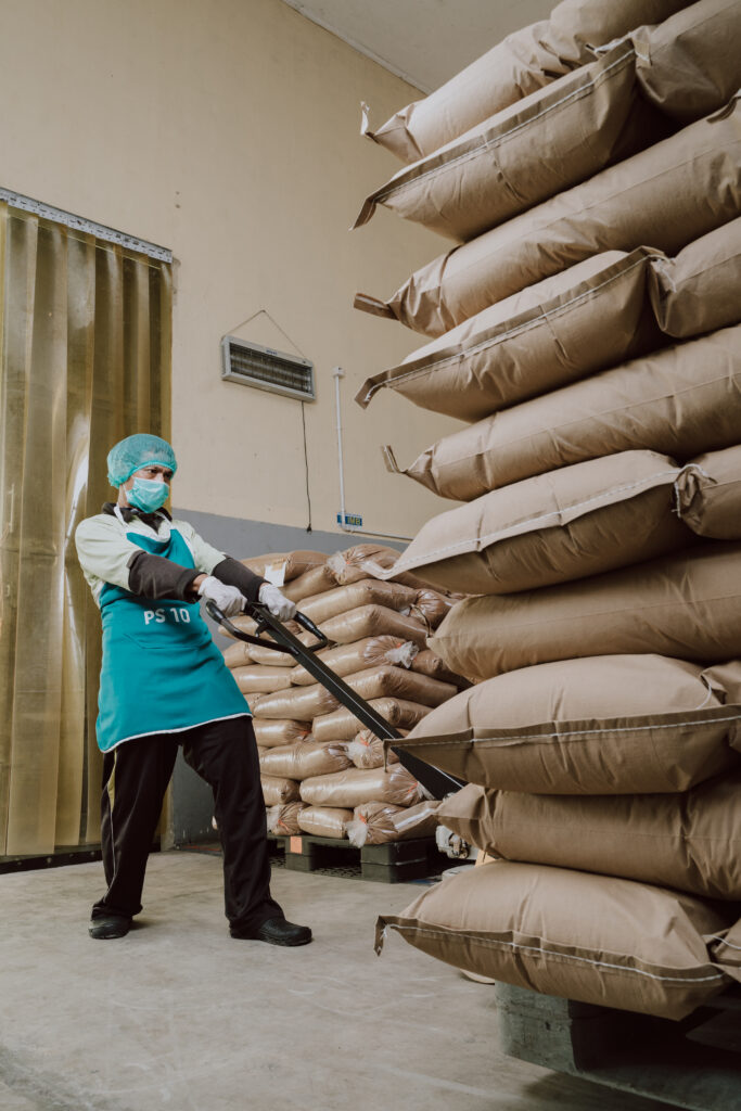 About – Bunga Palm