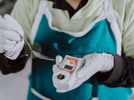 Bunga Palm – Bunga Palm