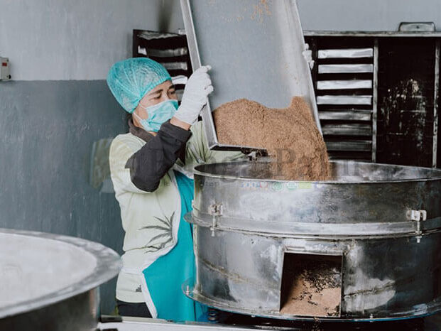 Bunga Palm – Bunga Palm